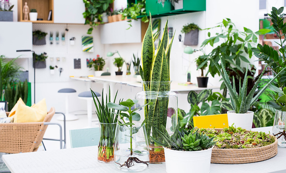 Good Office Habits That Can Help You To Be Healthy in Your Office ...